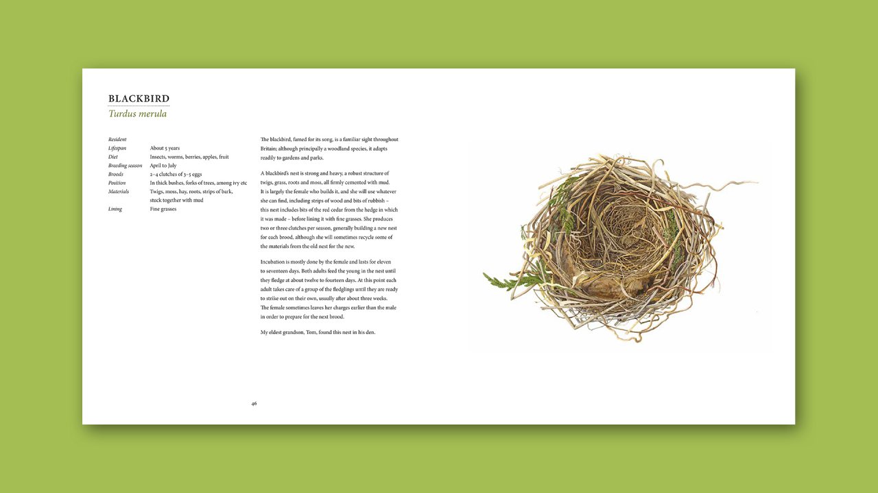 Nests by Susan Ogilvy | Waterstones
