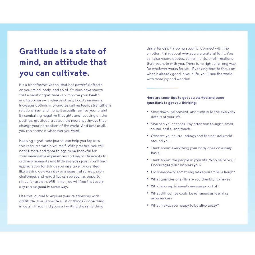 Gratitude One Line a Day by Chronicle Books | Waterstones