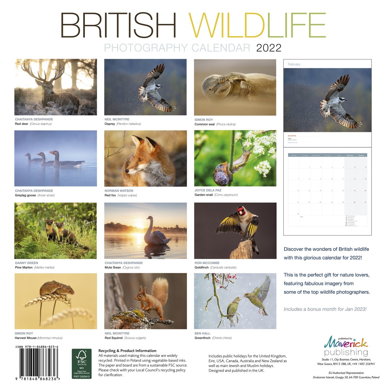 2022 British Wildlife Wall Calendar by Mixed | Waterstones