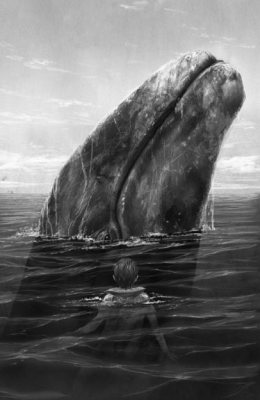 The Lost Whale by Hannah Gold | Waterstones