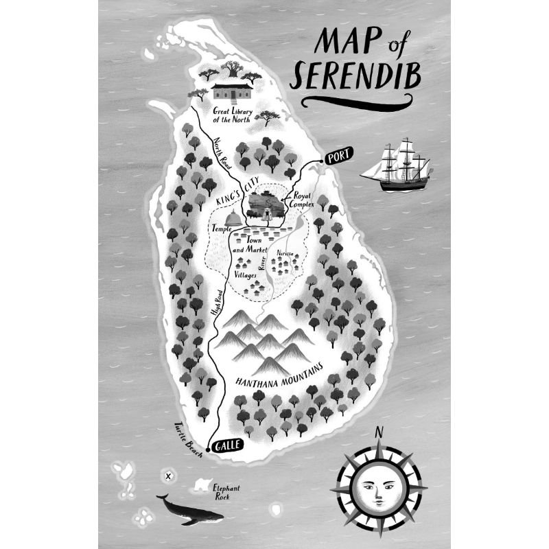 The Girl Who Lost a Leopard by Nizrana Farook | Waterstones