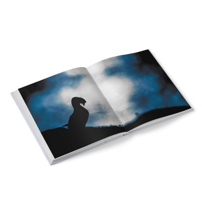 Puffins by Kevin Morgans, Chris Packham | Waterstones