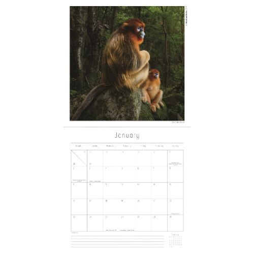 2023 Wildlife Photographer Of The Year Wall Calendar | Waterstones
