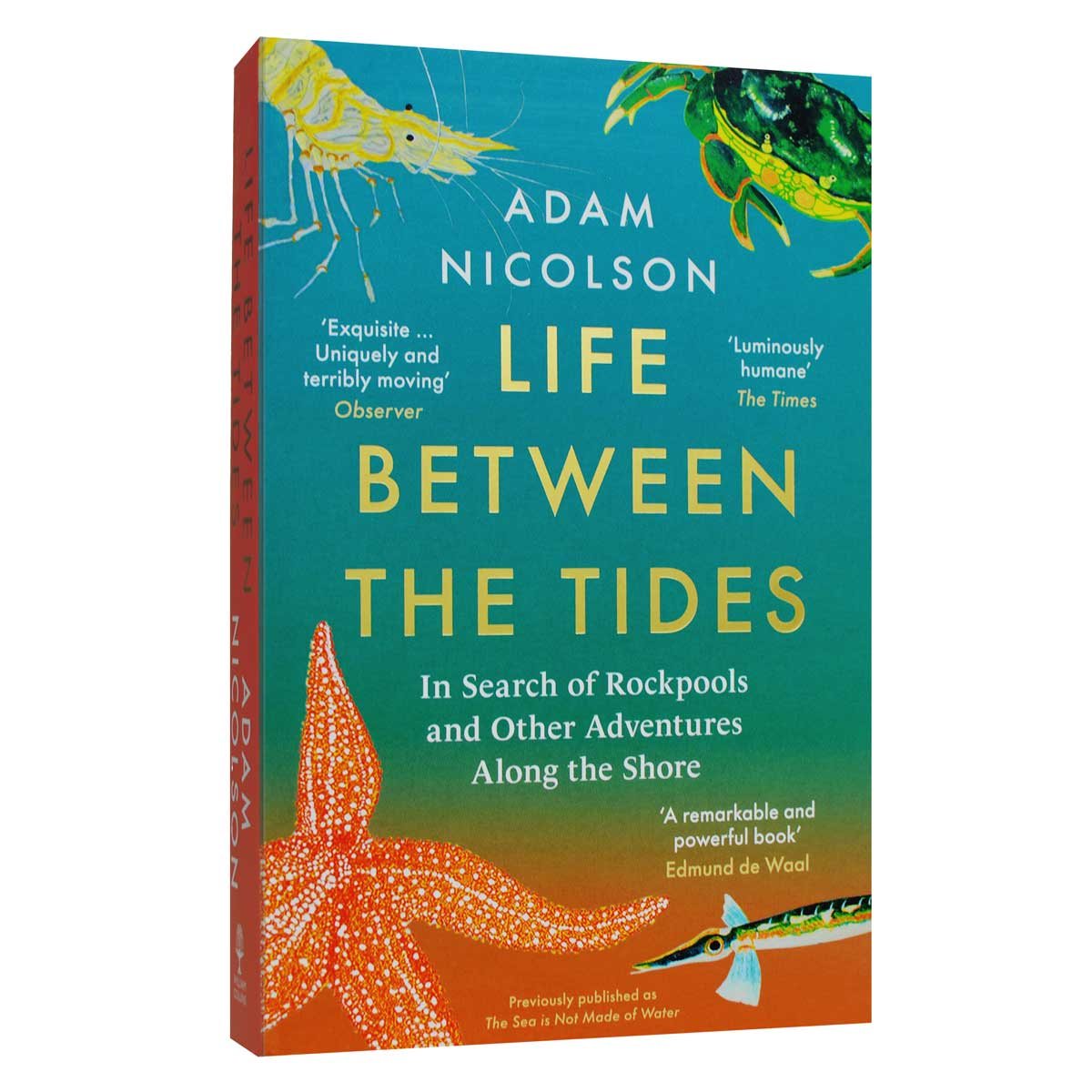Life Between the Tides by Adam Nicolson | Waterstones