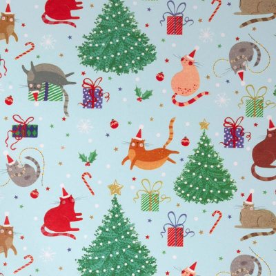 Christmas Cats 3M Roll Wrap | Waterstones