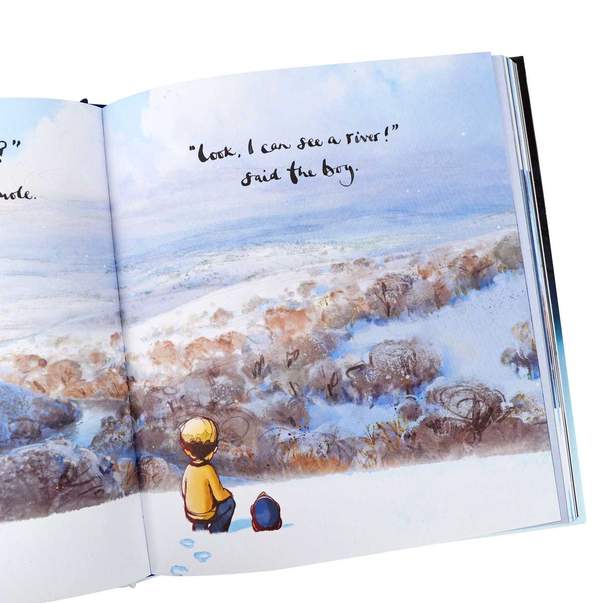 The Boy, the Mole, the Fox and the Horse: The Animated Story by Charlie ...