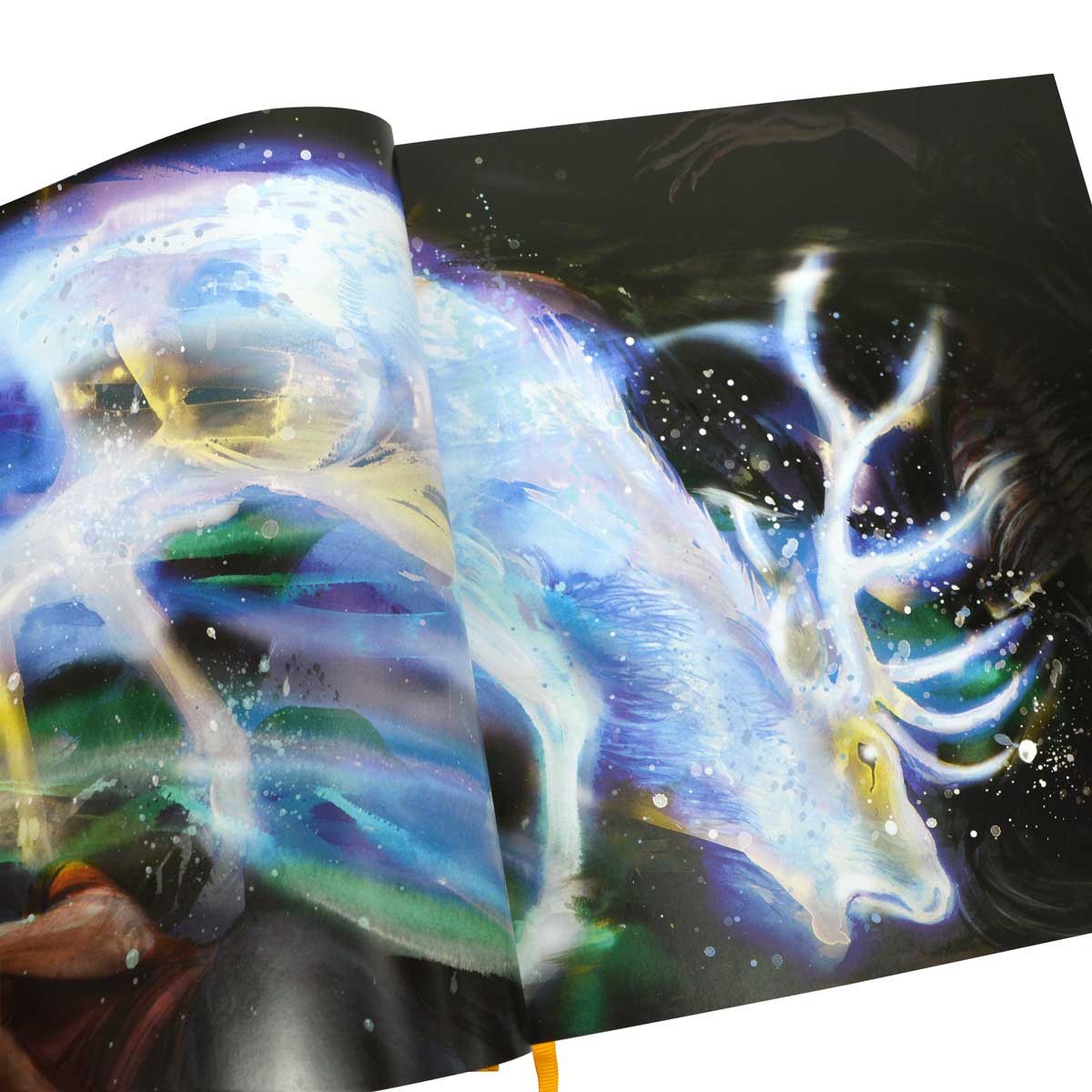 Harry Potter and the Order of the Phoenix by J.K. Rowling, Jim Kay ...