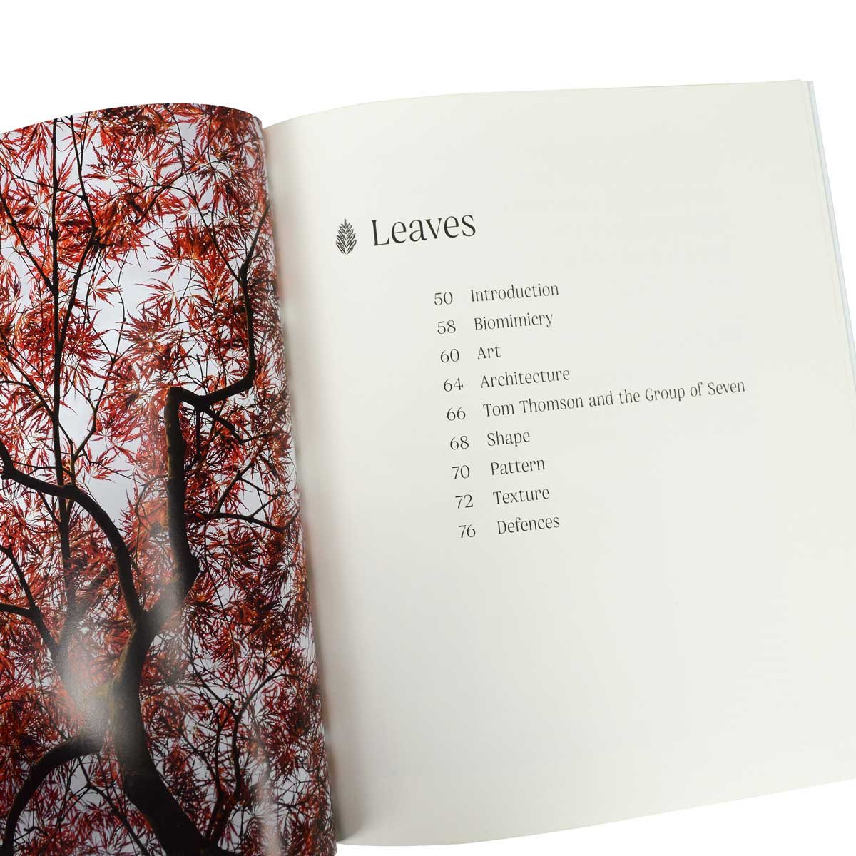 Trees: From Root to Leaf – A Financial Times Book of the Year by Paul ...