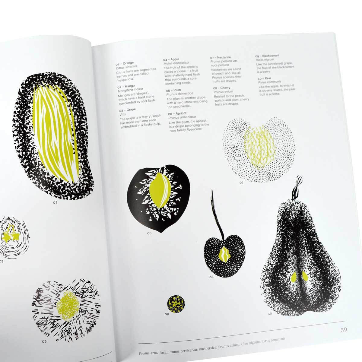 Trees: From Root to Leaf – A Financial Times Book of the Year by Paul ...
