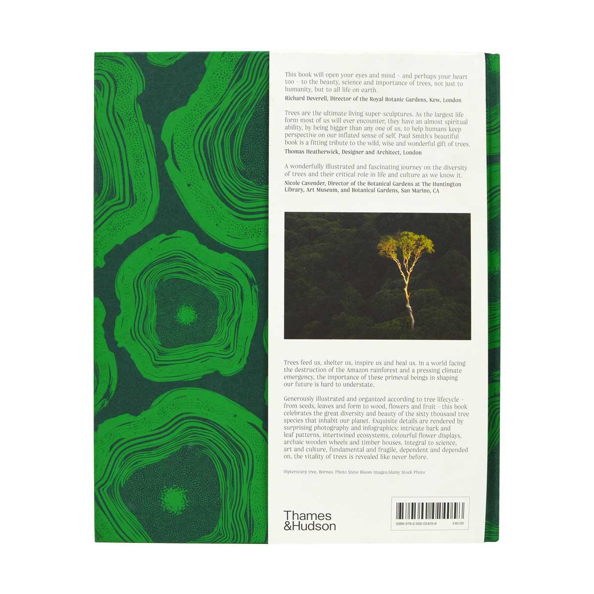 Trees: From Root to Leaf – A Financial Times Book of the Year by Paul ...