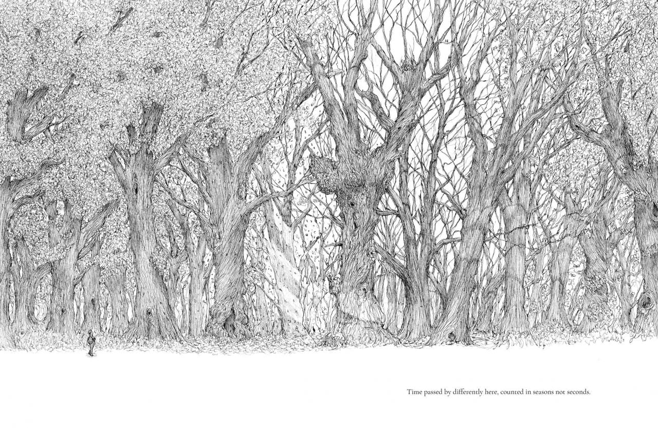 The Last Tree by Luke Adam Hawker | Waterstones