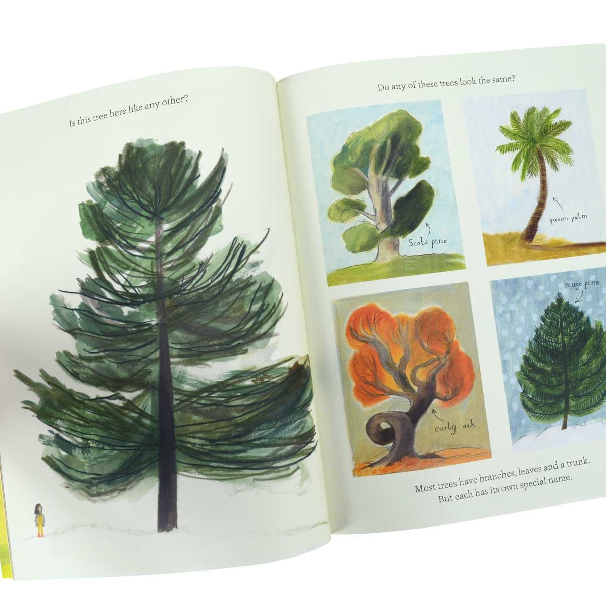 What Do You See When You Look At a Tree? by Emma Carlisle | Waterstones