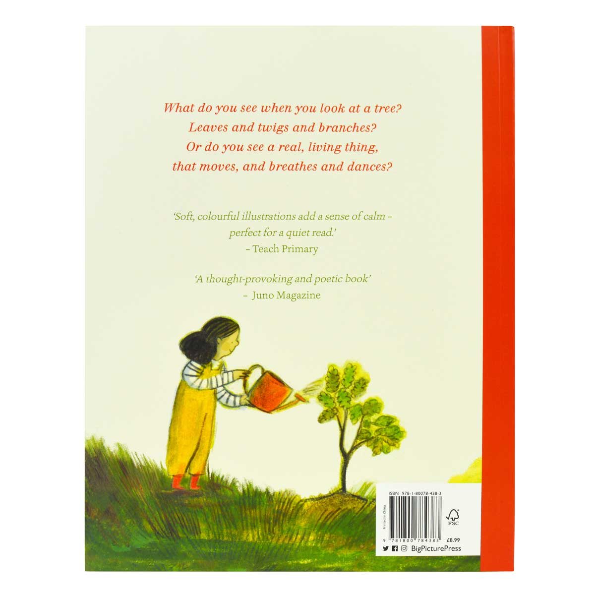What Do You See When You Look At a Tree? by Emma Carlisle | Waterstones