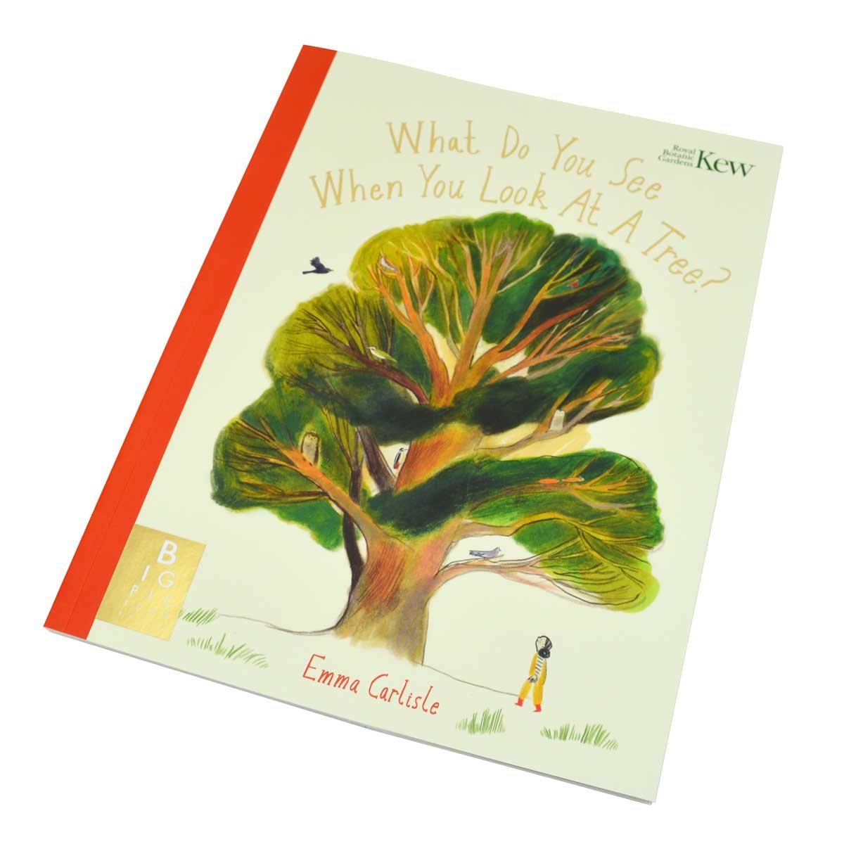 What Do You See When You Look At a Tree? by Emma Carlisle | Waterstones