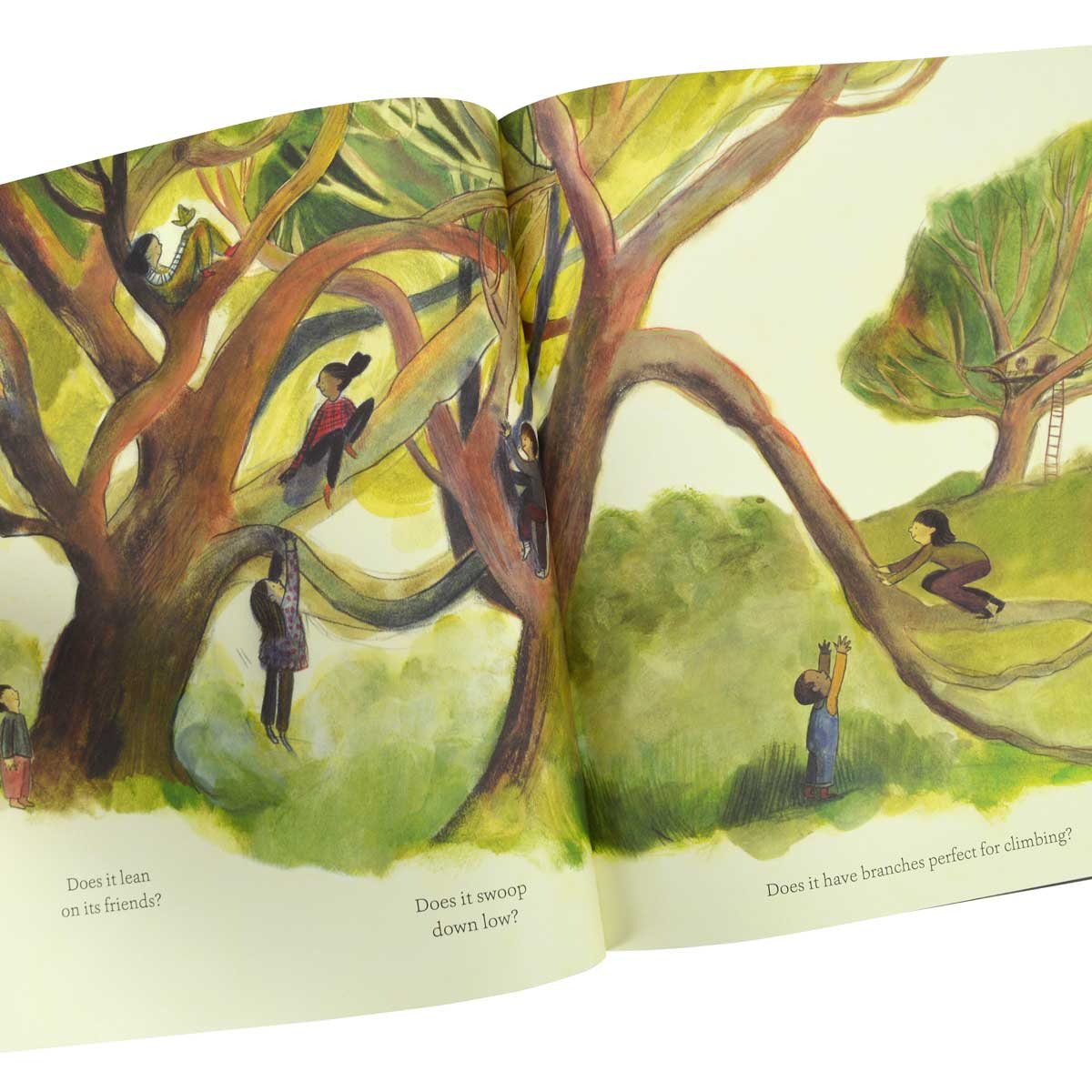 What Do You See When You Look At a Tree? by Emma Carlisle | Waterstones