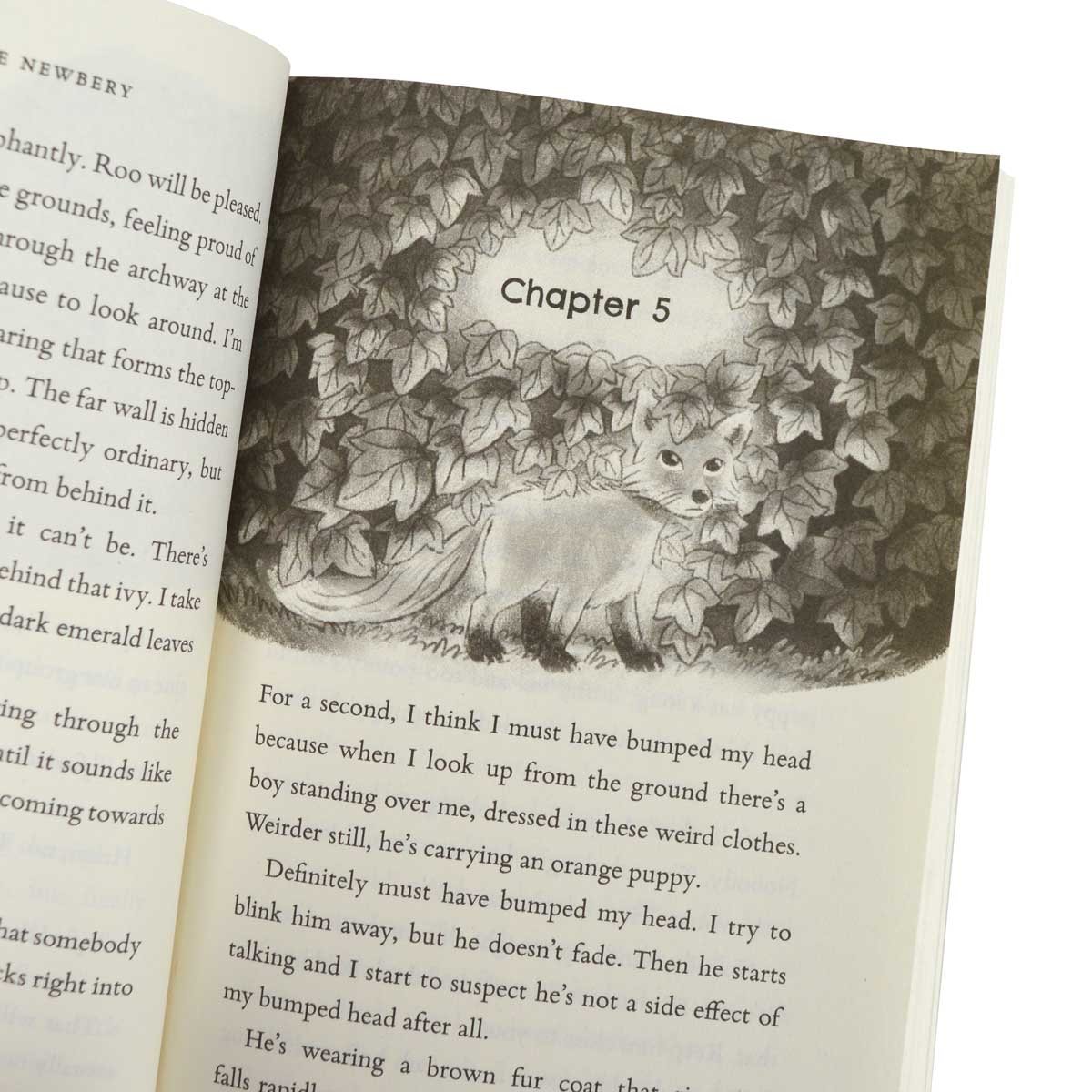 The Last Firefox by Lee Newbery, Laura Catalán | Waterstones