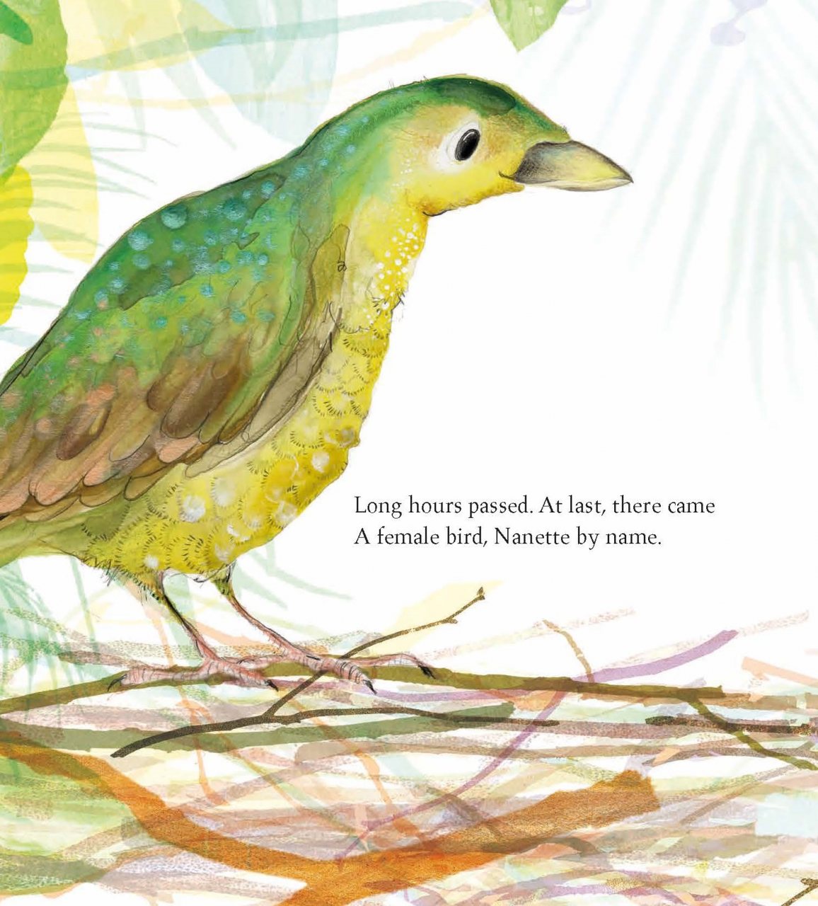 The Bowerbird by Julia Donaldson, Catherine Rayner | Waterstones