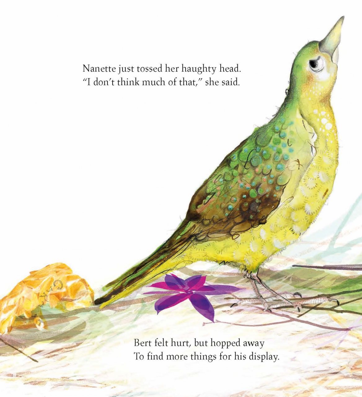 The Bowerbird by Julia Donaldson, Catherine Rayner | Waterstones