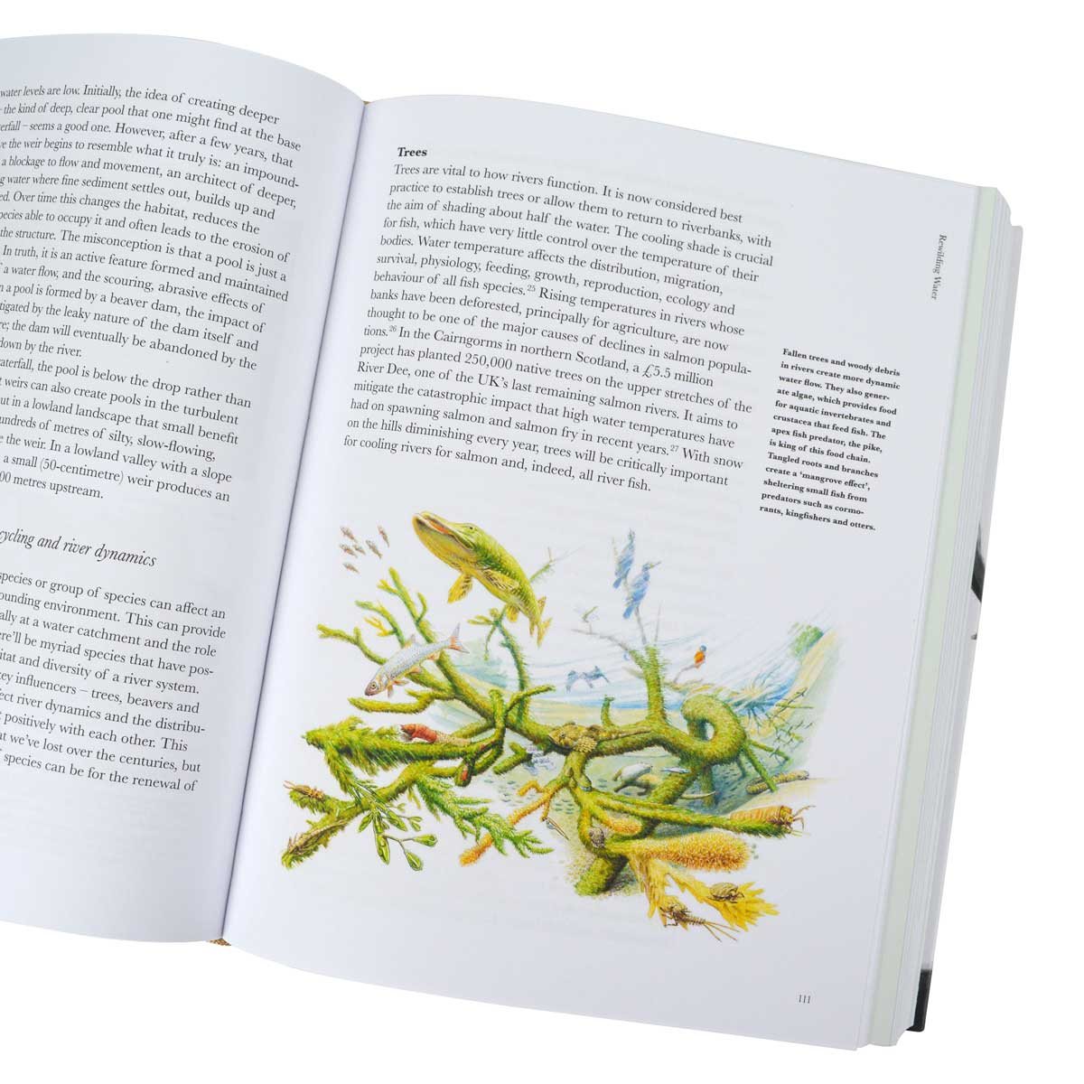 The Book of Wilding by Isabella Tree | Waterstones