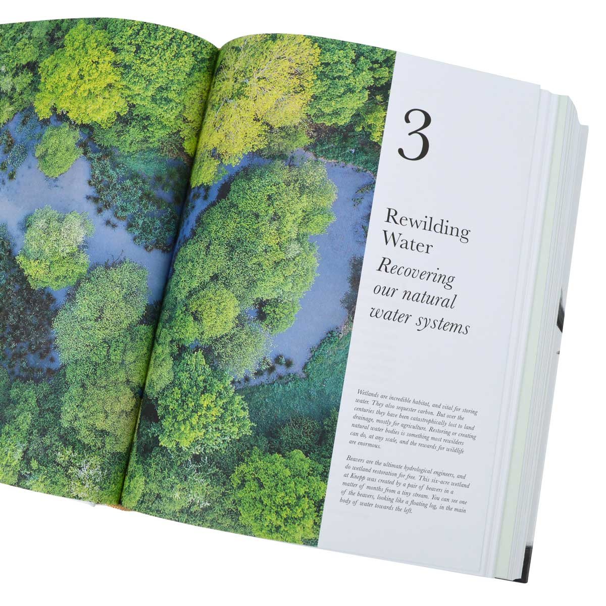 The Book of Wilding by Isabella Tree | Waterstones