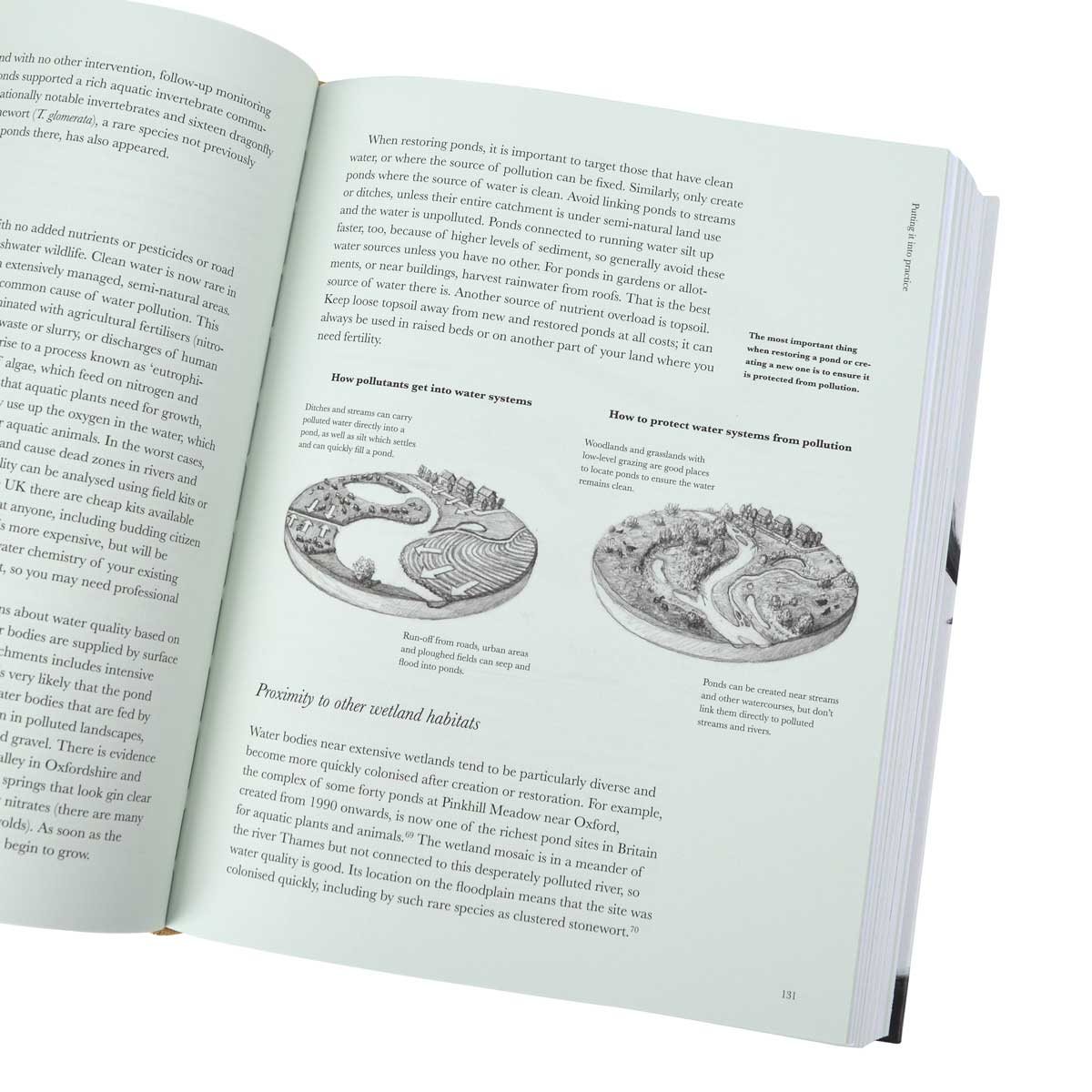 The Book of Wilding by Isabella Tree | Waterstones