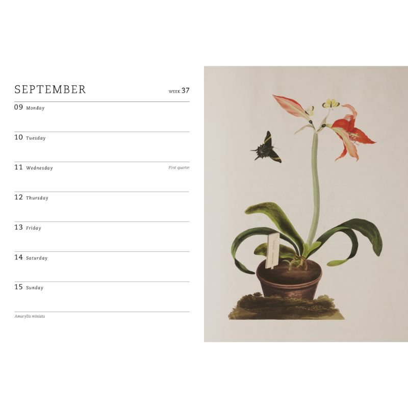 RHS Pocket Diary 2024 by Royal Horticultural Society | Waterstones