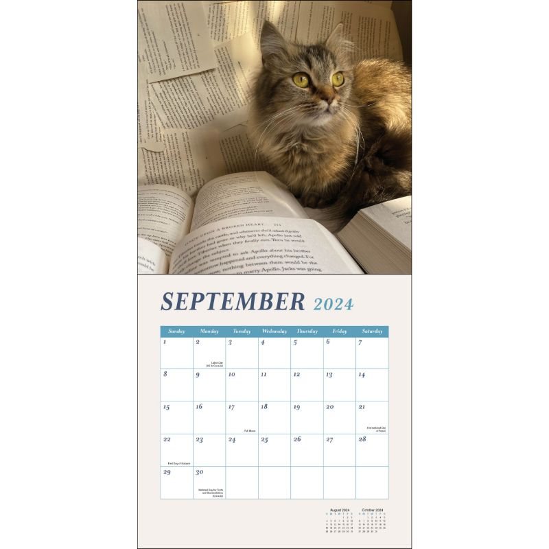 Cats & Books 2024 Wall Calendar by Rizzoli Universe | Waterstones