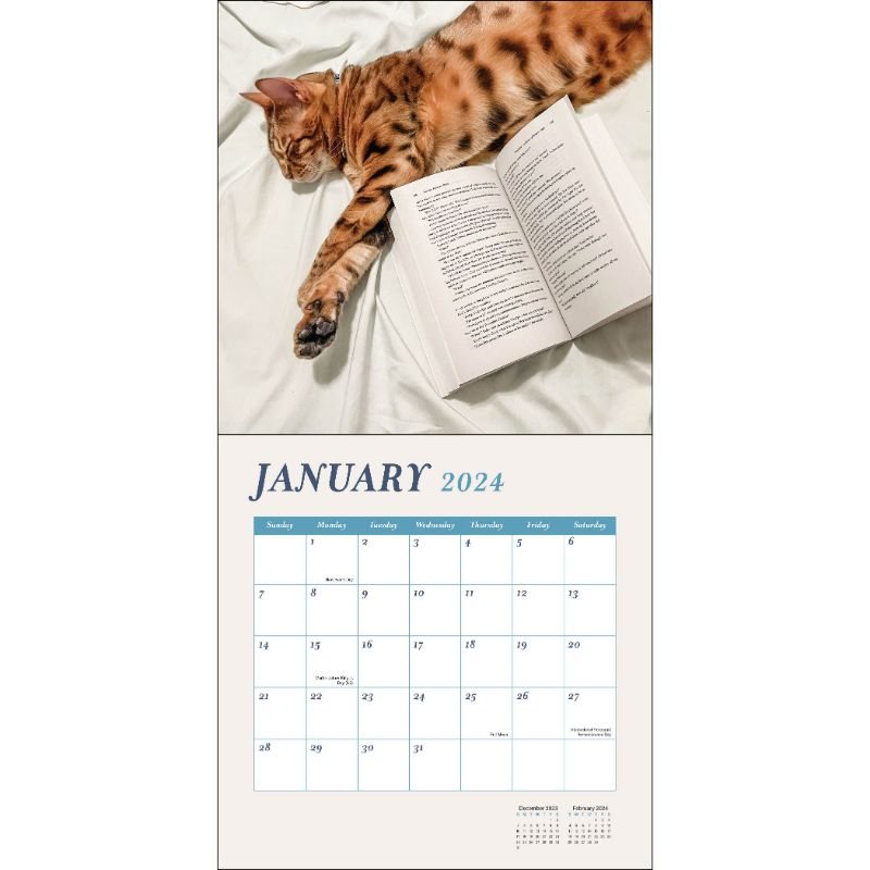 Cats & Books 2024 Wall Calendar by Rizzoli Universe | Waterstones