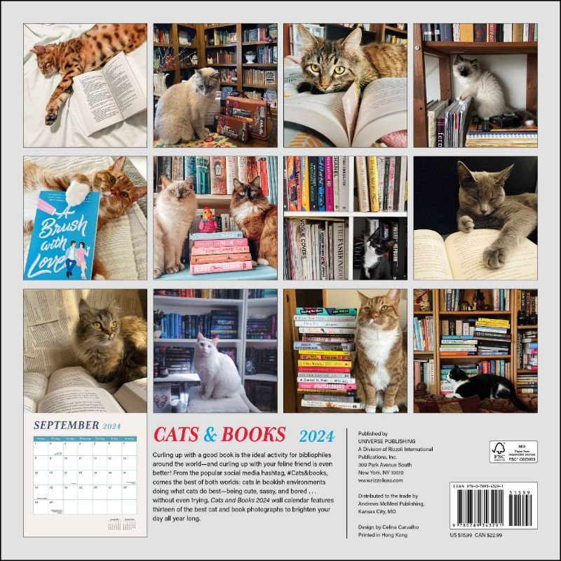 Cats & Books 2024 Wall Calendar by Rizzoli Universe | Waterstones