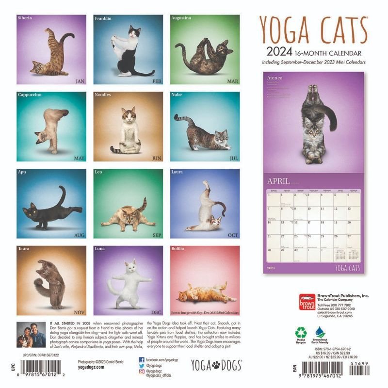 2024 Yoga Cats Wall Calendar | Waterstones