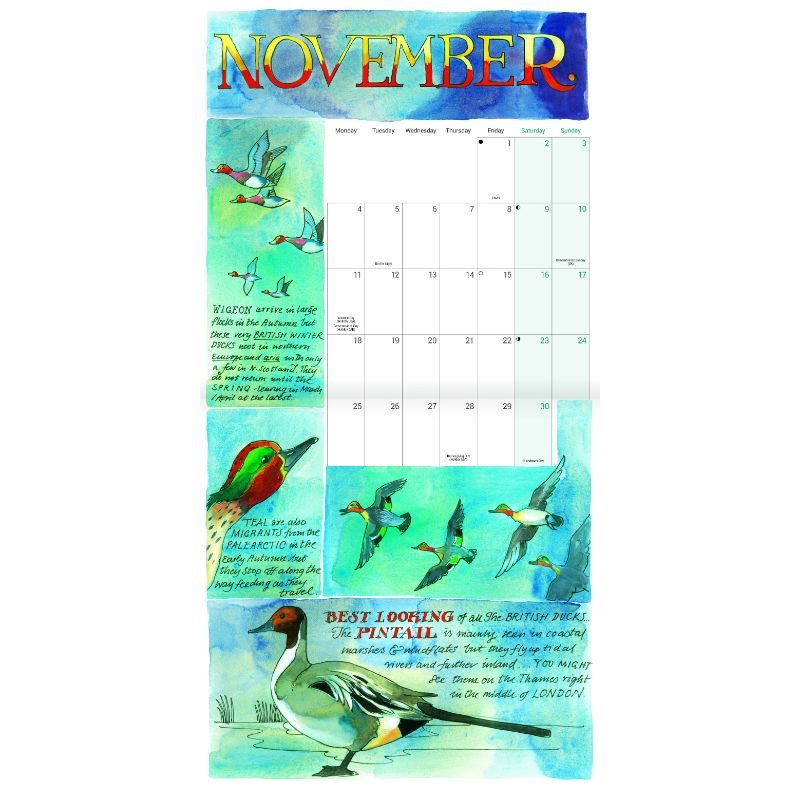 2024 Matthew Rice Wall Calendar | Waterstones