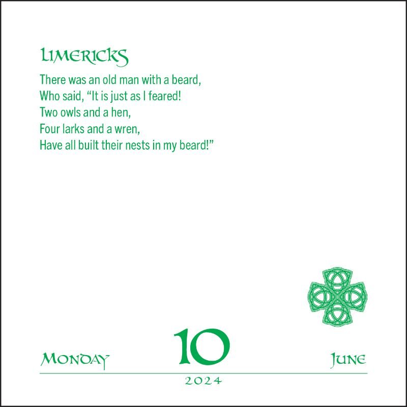 366 Things to Love About Being Irish 2024 Day-to-Day Calendar by ...