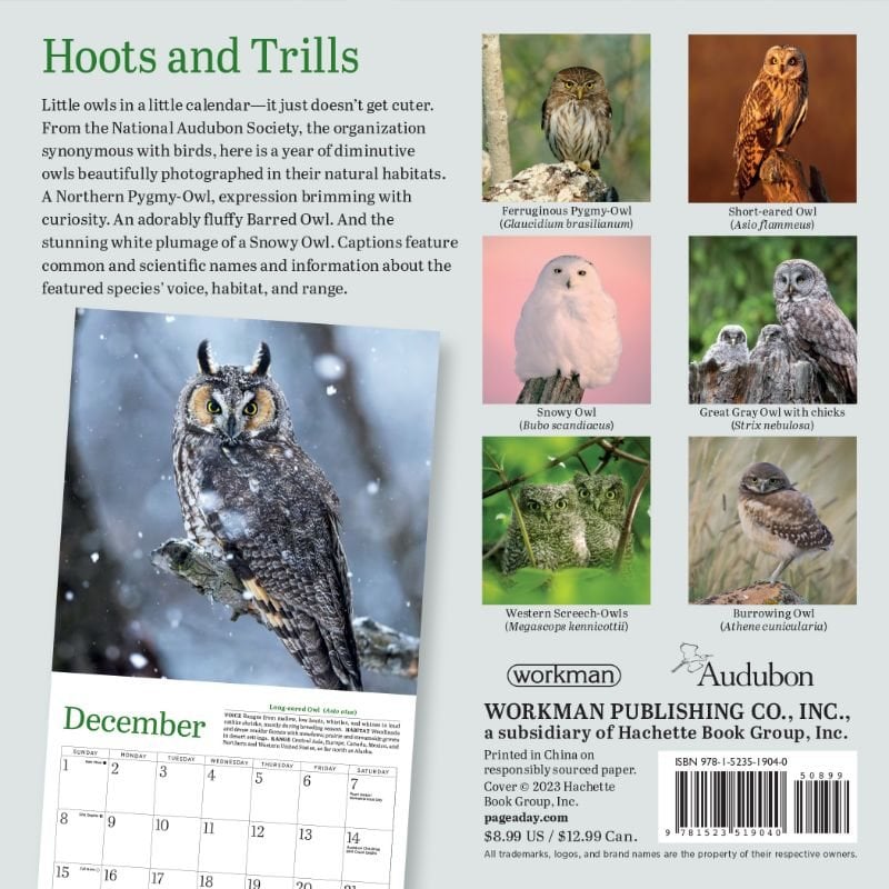 Audubon Little Owls Mini Wall Calendar 2024 by Workman Calendars ...