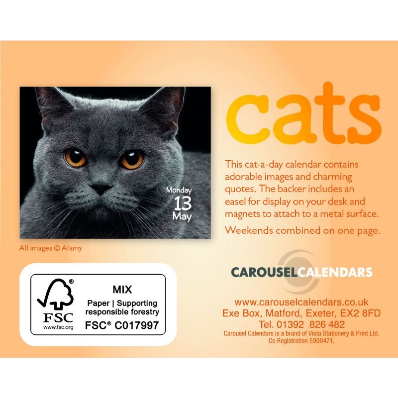 2024 Cats Mini Boxed Calendar | Waterstones