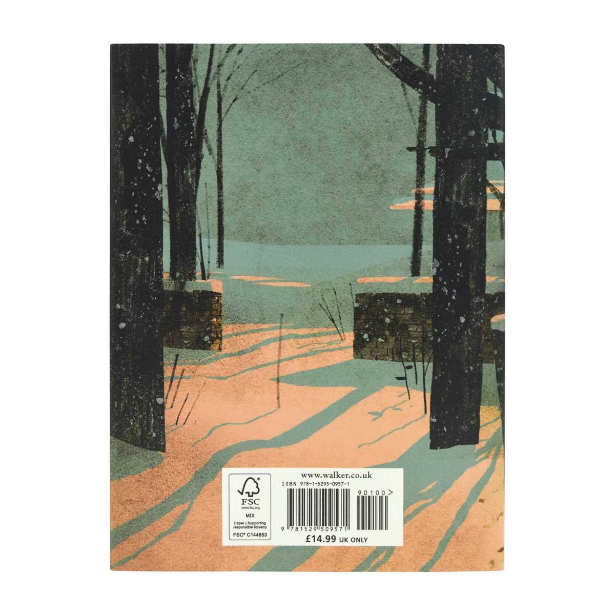 The Skull by Jon Klassen | Waterstones