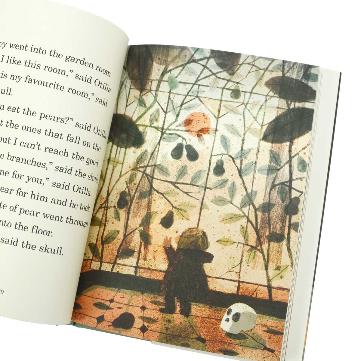 The Skull by Jon Klassen | Waterstones