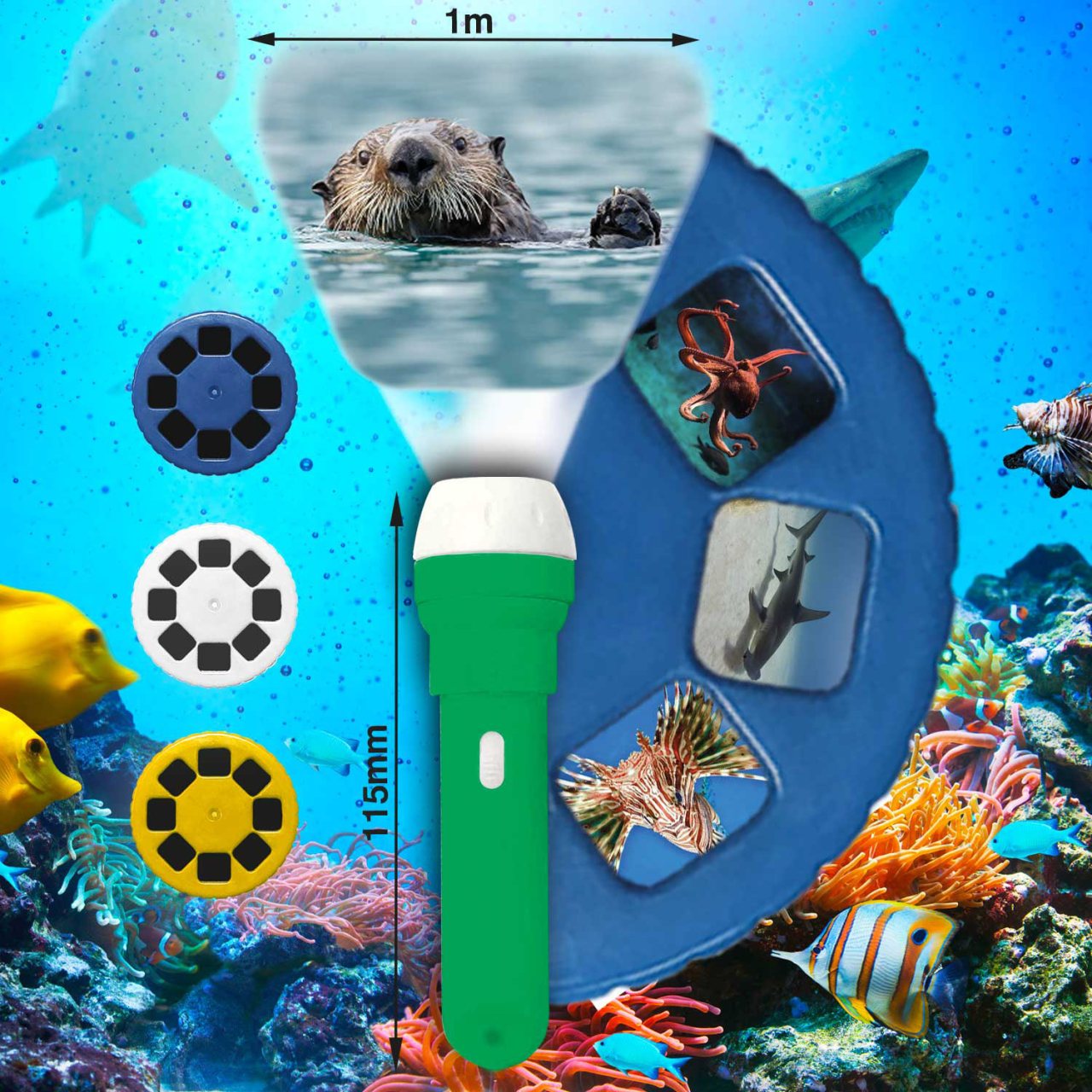 Nhm Sea Creatures Torch | Waterstones