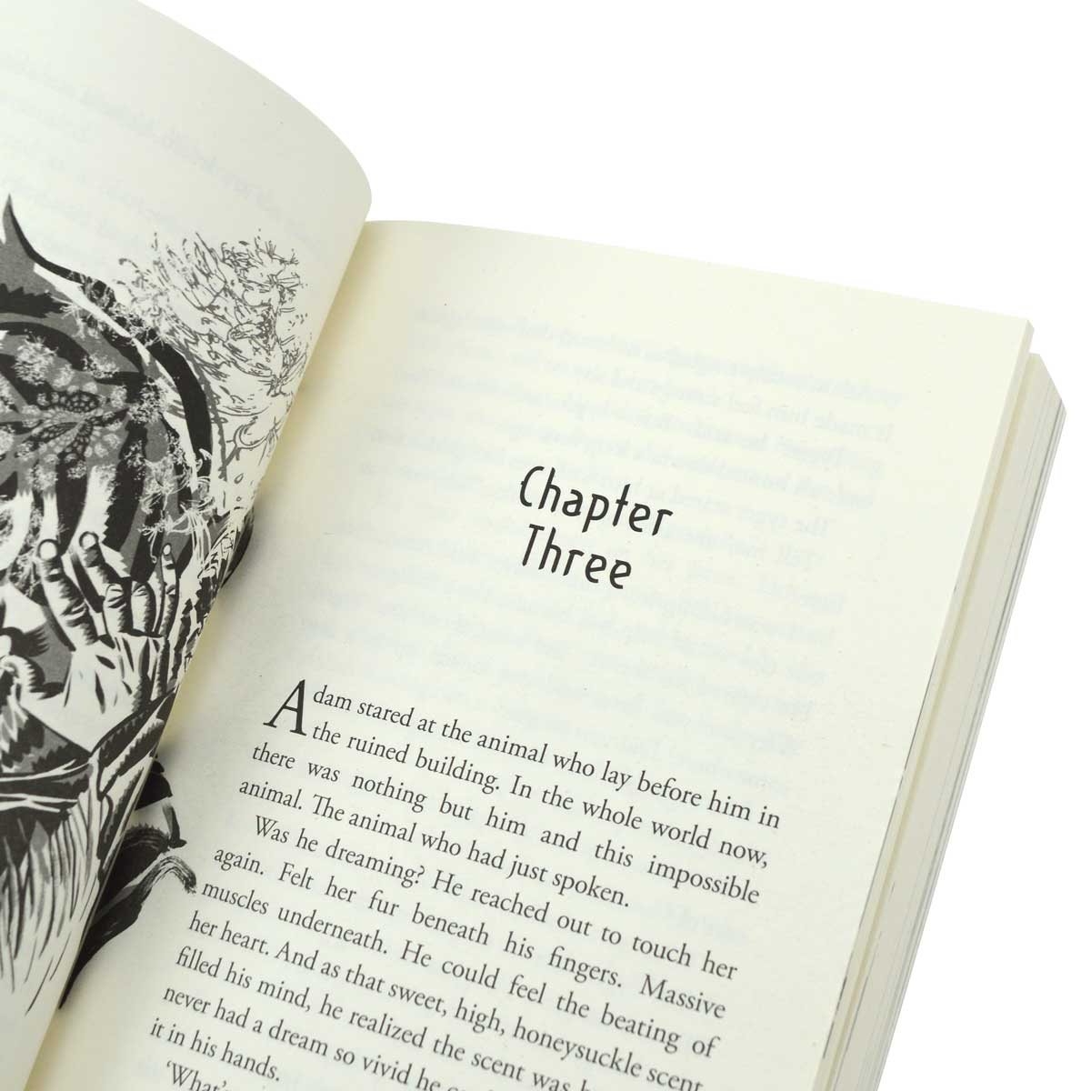 Tyger by SF Said, Dave McKean | Waterstones