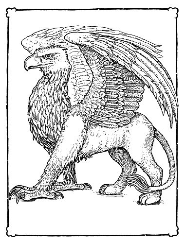 Impossible Creatures by Katherine Rundell | Waterstones