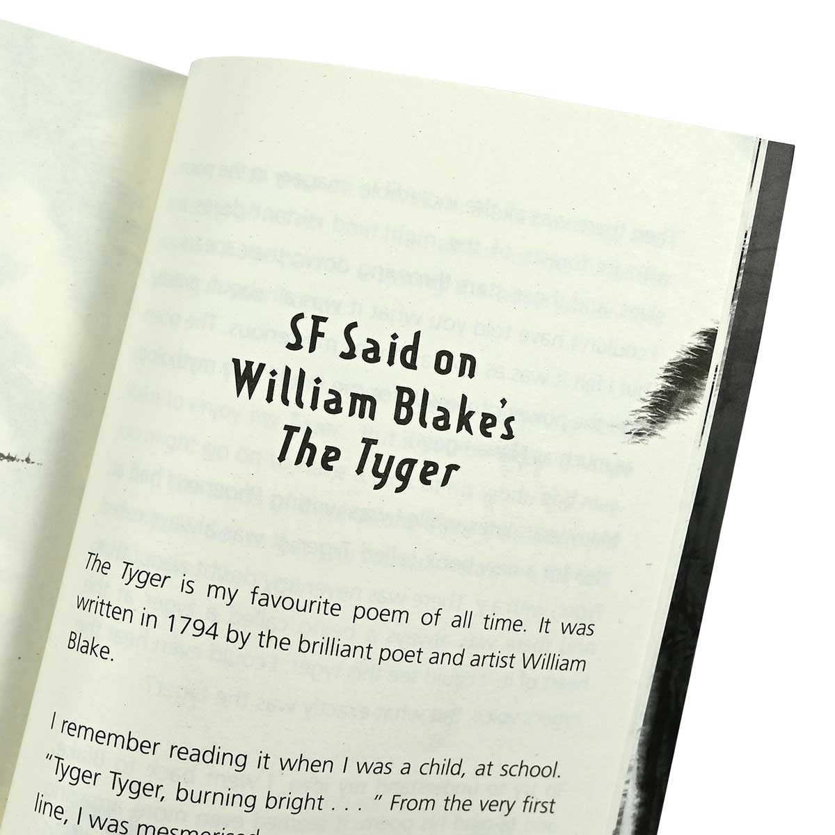 Tyger by SF Said, Dave McKean | Waterstones