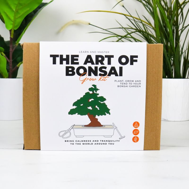 The Art Of Bonsai Grow Kit | Waterstones