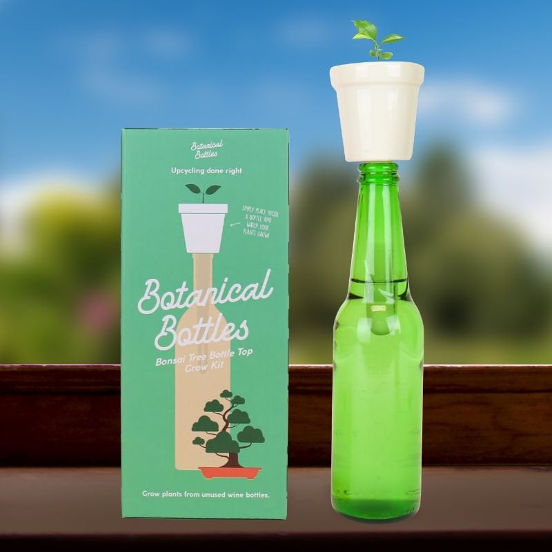 Botanical Bottles Bonsai Grow Kit | Waterstones