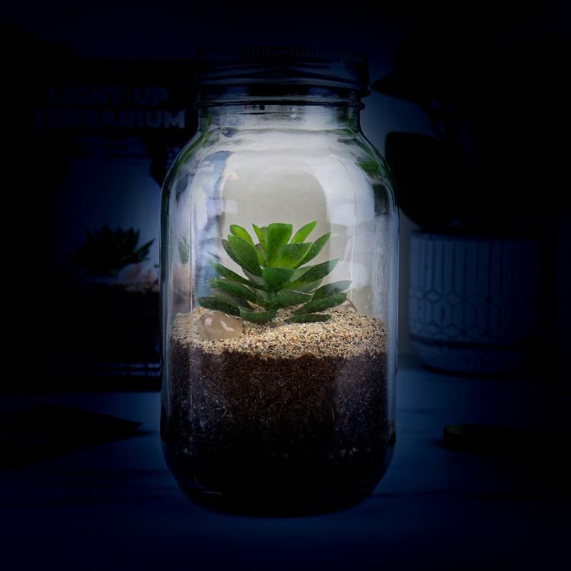 Solar Powered Light Up Terrarium | Waterstones