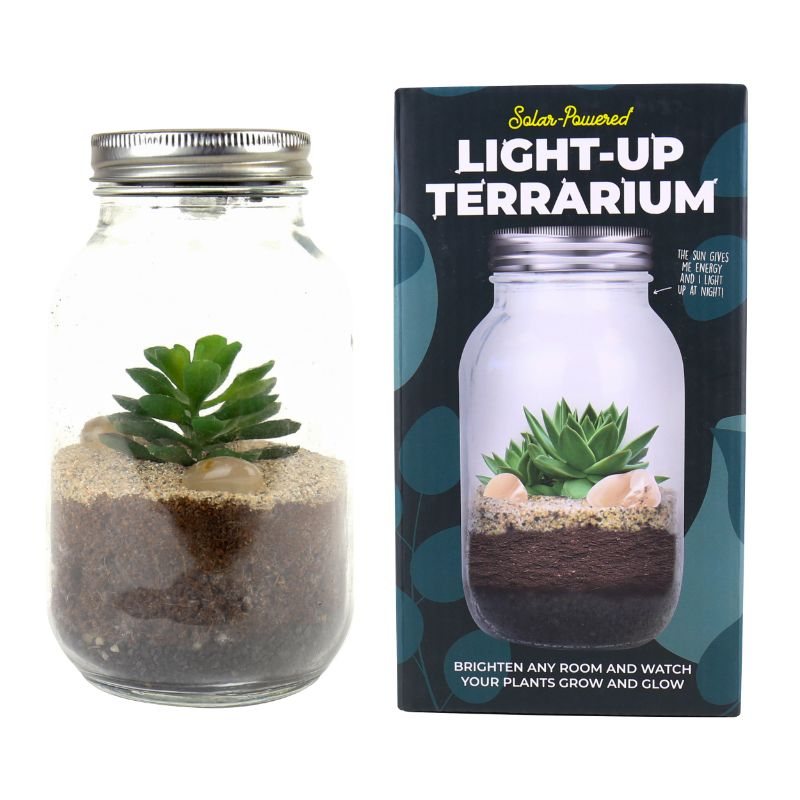 Solar Powered Light Up Terrarium | Waterstones