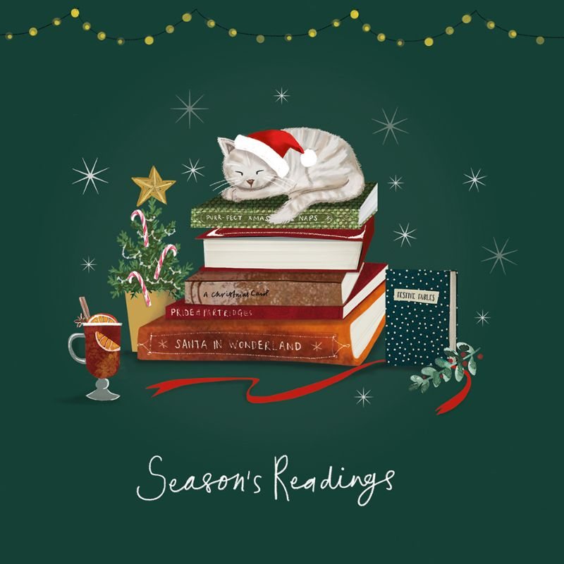 Christmas Books Box X20 | Waterstones