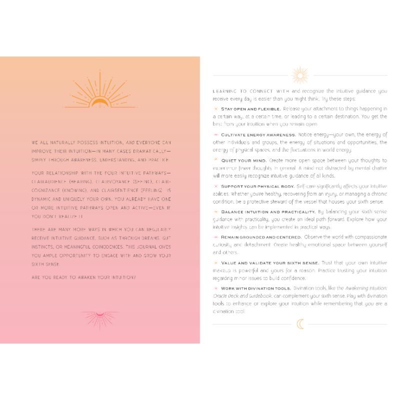 Intuition: A Day and Night Reflection Journal by Insight Editions ...