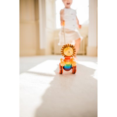 Lion Push Along | Waterstones