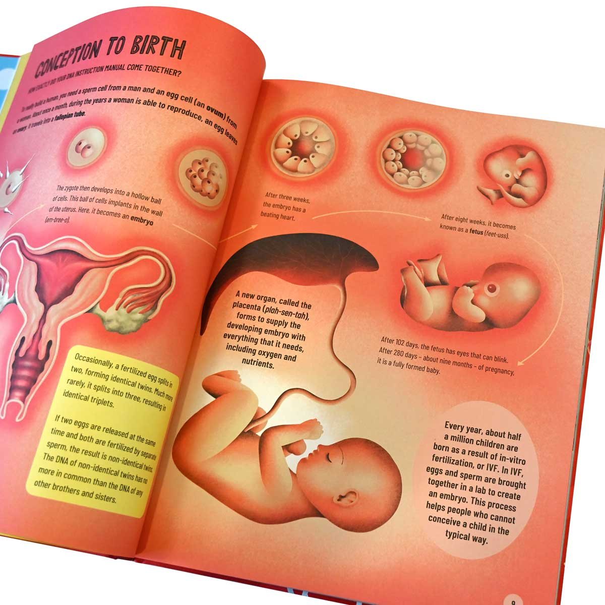 A Really Short Journey Through the Body by Bill Bryson, Emma Young ...