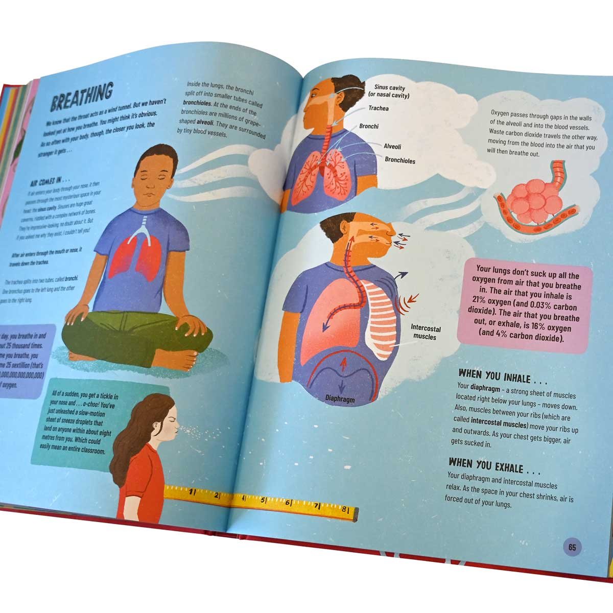 A Really Short Journey Through the Body by Bill Bryson, Emma Young ...