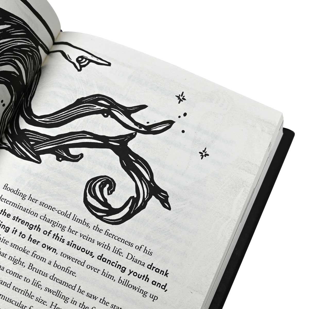 Storyland (children's edition) by Amy Jeffs | Waterstones